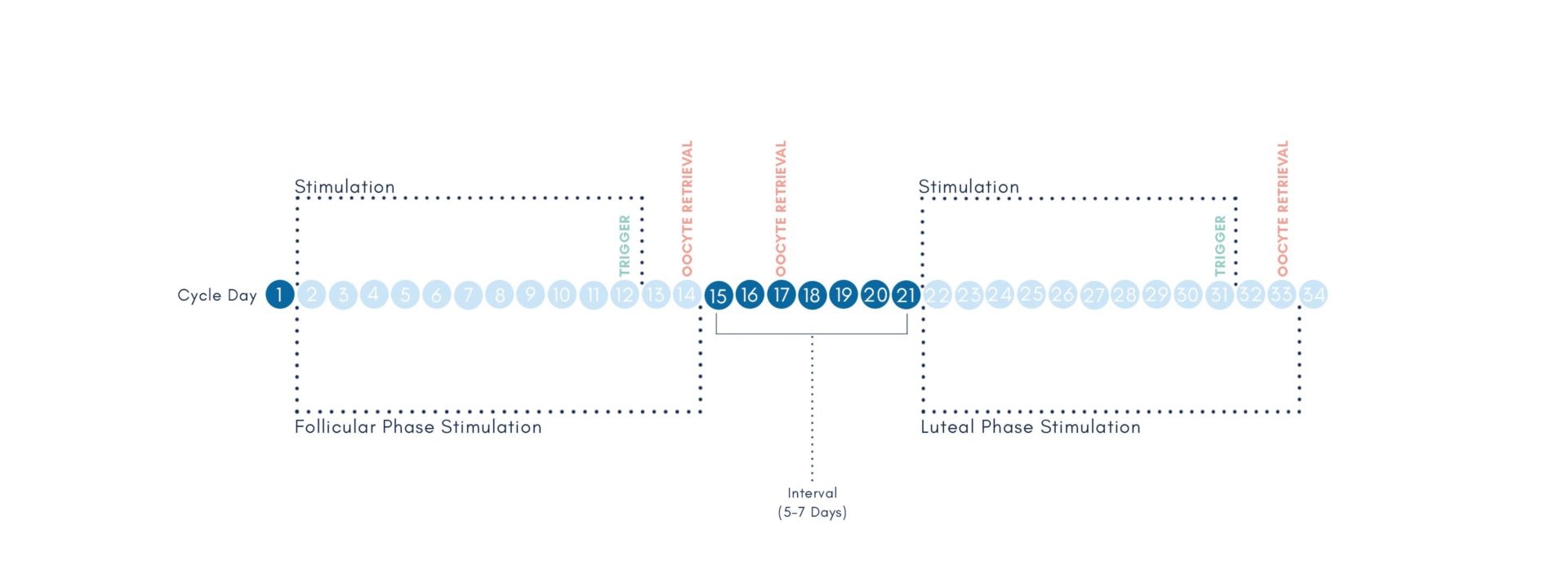 Fertility Surgery | Kindbody | Chicago, Milwaukee, St. Louis